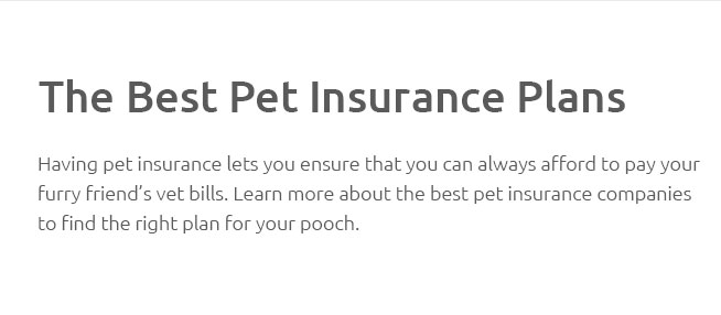Compare Pet Insurance Quotes 🐾 Nov 2025