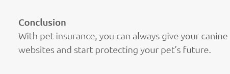 Compare Pet Insurance Quotes 🐾 Oct 2025