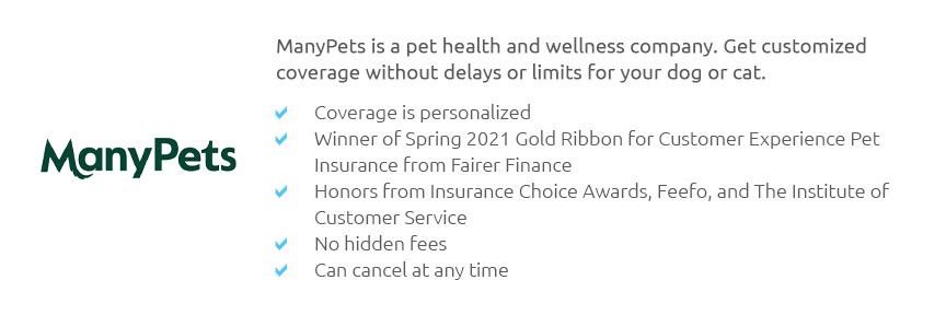Compare Pet Insurance Quotes 🐾 Nov 2025